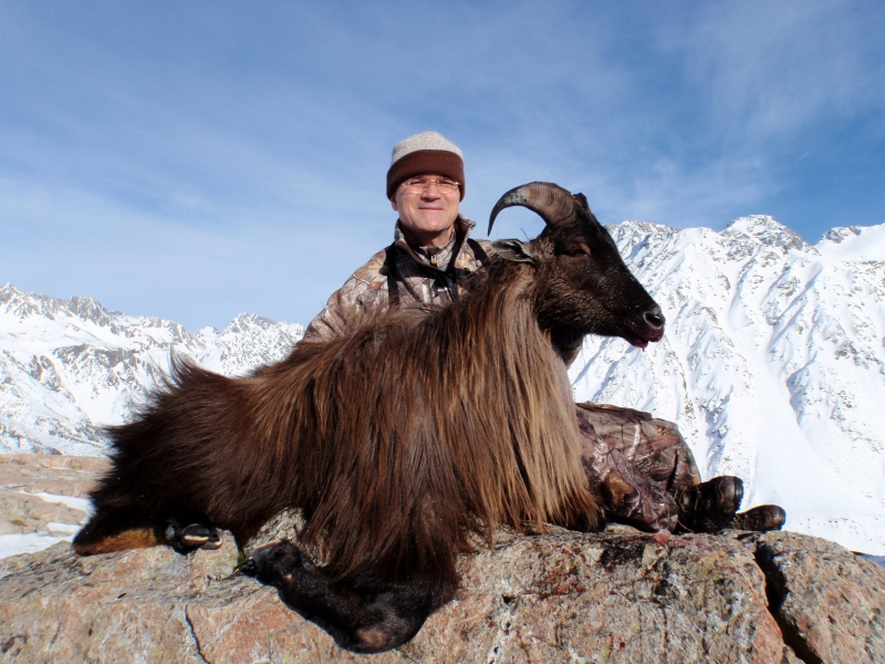 free-range-tahr-hemitragus-jemlahicus-00025 : Four Seasons Safaris New ... free-range-tahr-hemitragus-jemlahicus-00025 : Four Seasons Safaris New ...