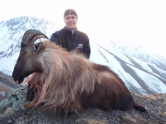 free-range-tahr-hemitragus-jemlahicus-00042 : Four Seasons Safaris New ... free-range-tahr-hemitragus-jemlahicus-00042 : Four Seasons Safaris New ...