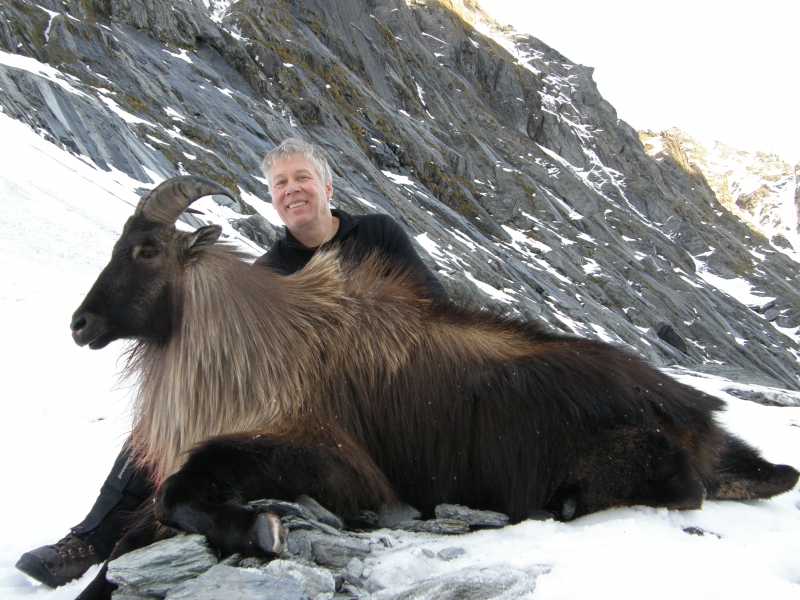 free-range-tahr-hemitragus-jemlahicus-00050 : Four Seasons Safaris New ... free-range-tahr-hemitragus-jemlahicus-00050 : Four Seasons Safaris New ...