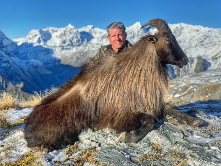 Bull-Tahr-NZ-2019 : Four Seasons Safaris New Zealand