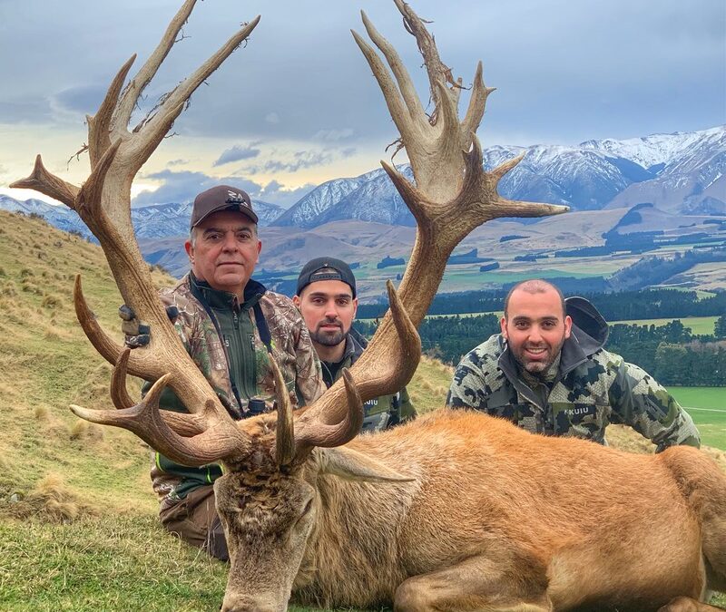 Red-Stag-2019 : Four Seasons Safaris New Zealand
