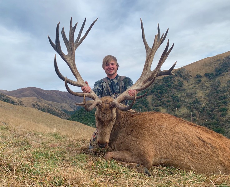 RedStag-2019 : Four Seasons Safaris New Zealand