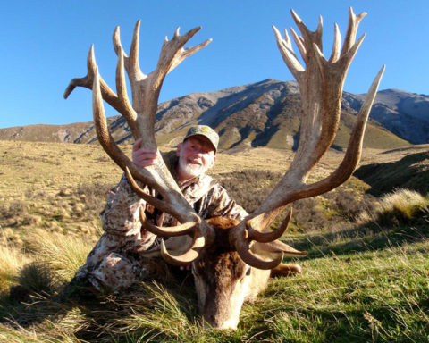 Red-Stag-450-PLUS-07 : Four Seasons Safaris New Zealand