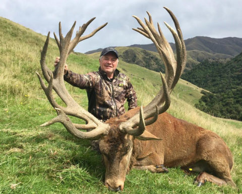Red-Stag-450-PLUS-08 : Four Seasons Safaris New Zealand