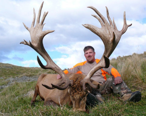 Red-Stag-450-PLUS- : Four Seasons Safaris New Zealand