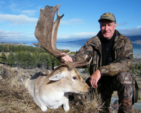 Fallow-Deer-NZ-Hunt-19 : Four Seasons Safaris New Zealand