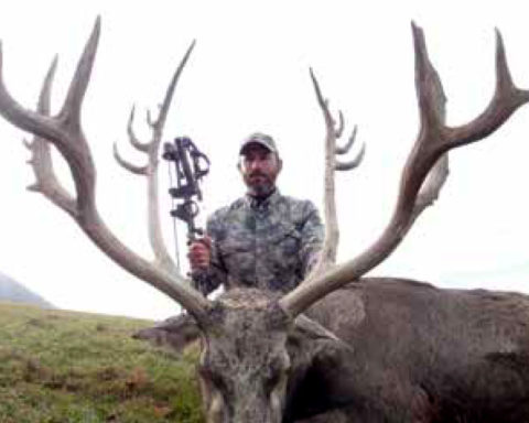 Pere David : Four Seasons Safaris New Zealand