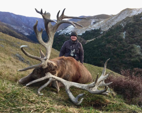 Red Stag : Four Seasons Safaris New Zealand