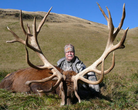 Red-Stag-up-to-450-New-Zealand : Four Seasons Safaris New Zealand
