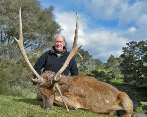 Rusa-Deer-NZ-Hunt-06 : Four Seasons Safaris New Zealand