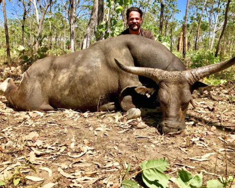 Water-Buffalo-NZ-Aus-Hunt-08 : Four Seasons Safaris New Zealand