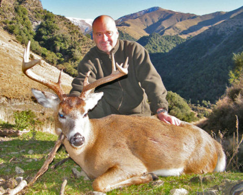 Whitetail-NZ-Hunt-01 : Four Seasons Safaris New Zealand