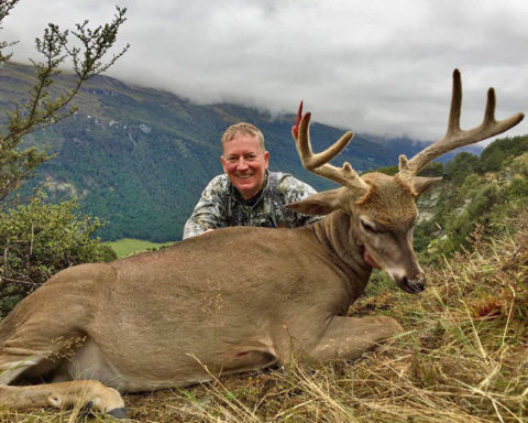 Whitetail : Four Seasons Safaris New Zealand