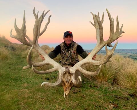 450+Giant-Stag-Seasons- : Four Seasons Safaris New Zealand