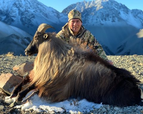 Tahr : Four Seasons Safaris New Zealand