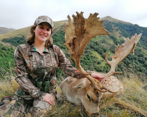 Fallow Deer : Four Seasons Safaris New Zealand
