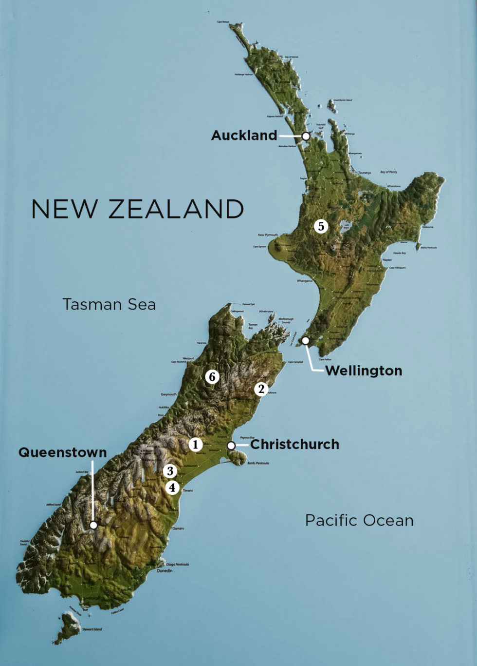 Trophy Hunting : Four Seasons Safaris New Zealand