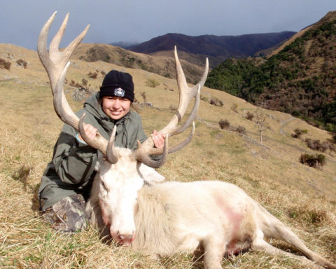 White Stag : Four Seasons Safaris New Zealand