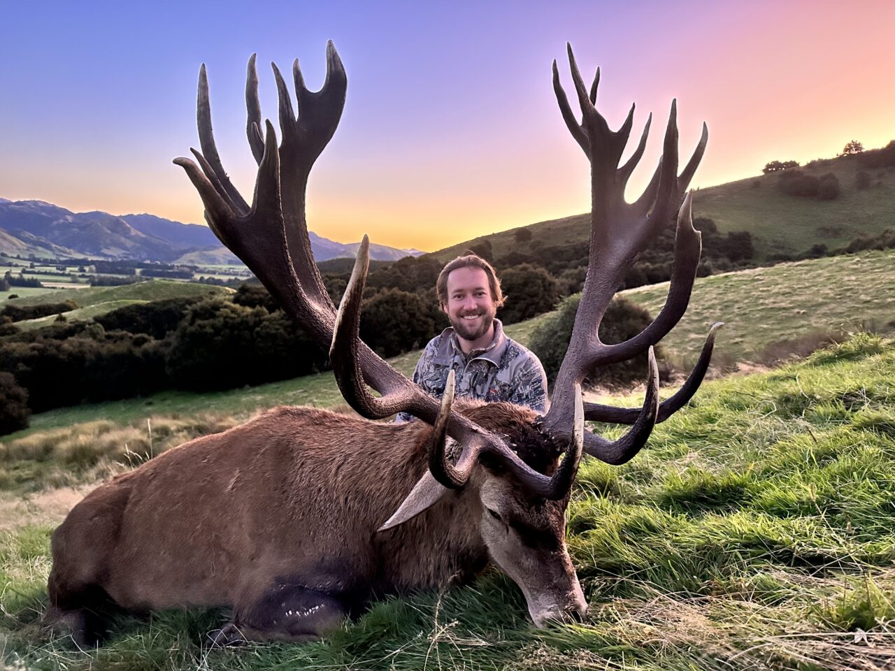Red Stag : Four Seasons Safaris New Zealand