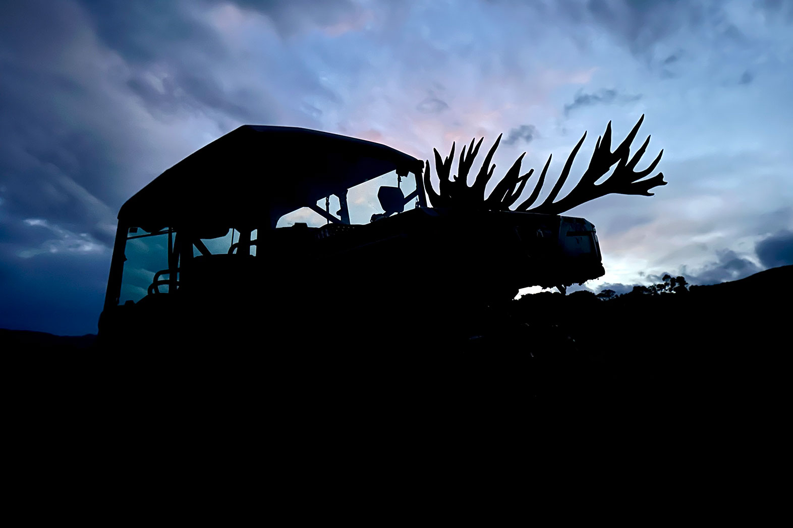 Red Stag Roar Tactics in New Zealand: Let Him Do the Talking : Four ...